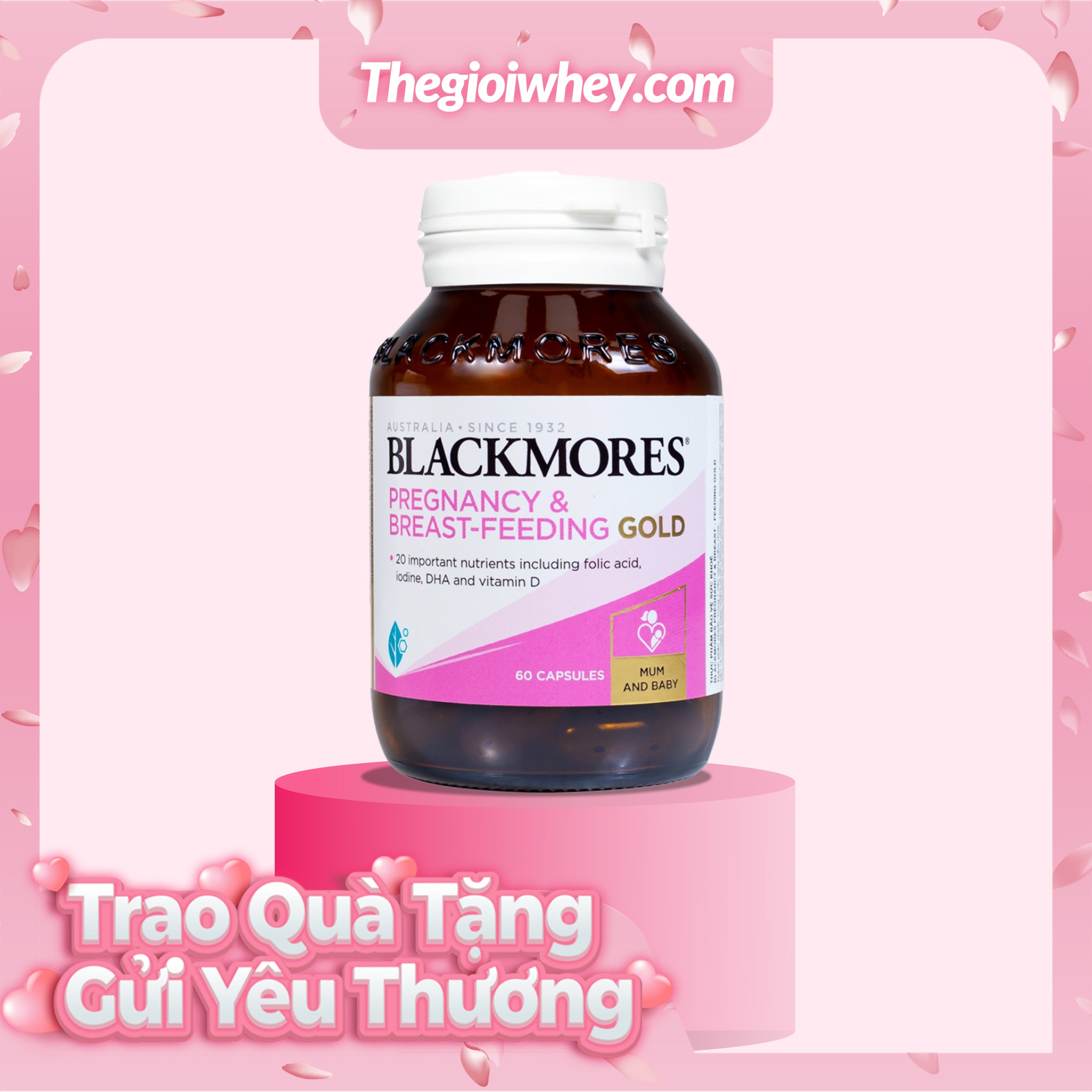 Blackmores Pregnancy And Breast Feeding Gold 60 viên– Thế Giới Whey
